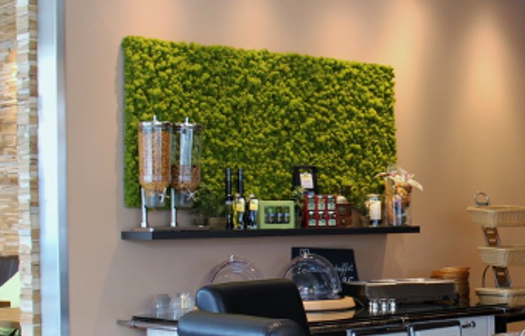 Moosbilder als Wandbegrünung – Die Wand richtig in Szene setzen